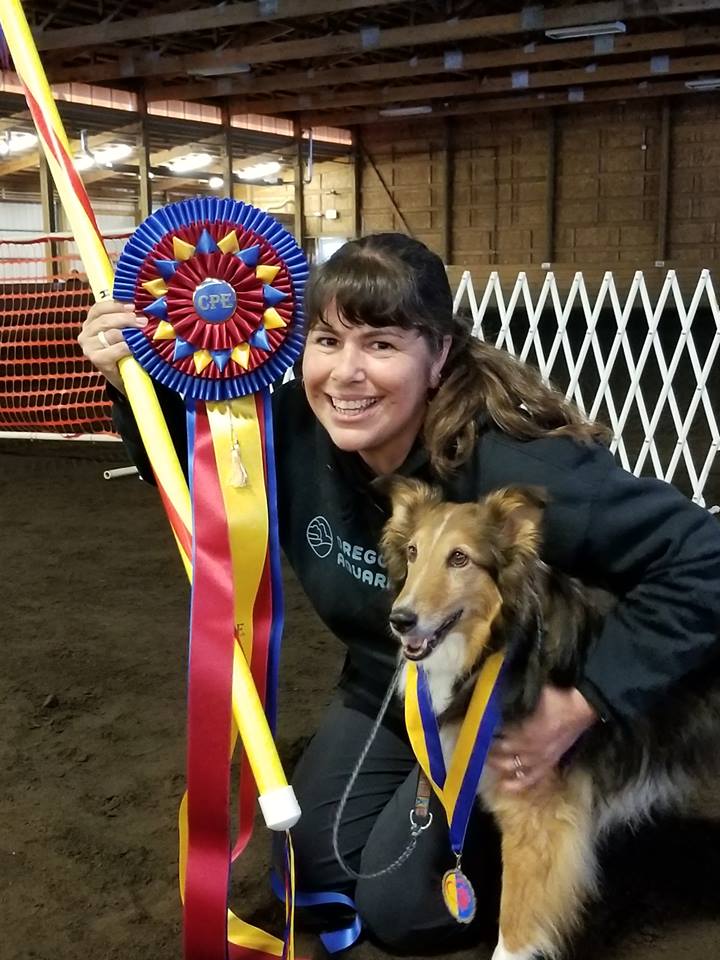 Rainier Agility Team – Promoting the sport of Dog Agility in Puget Sound